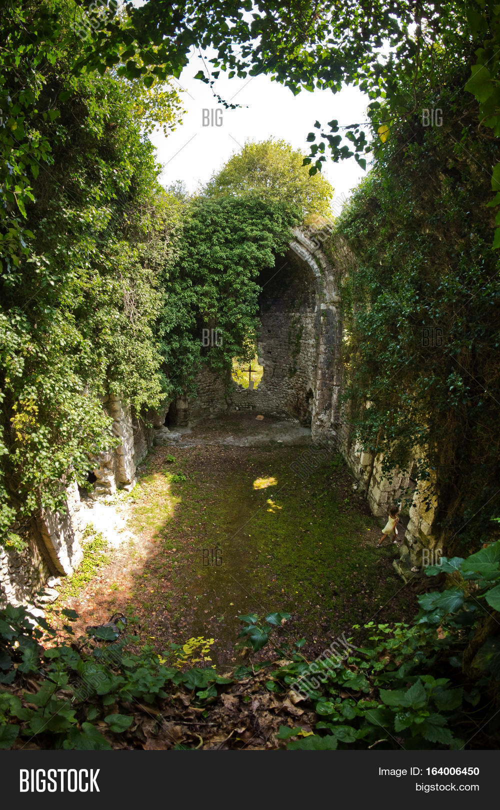 Overgrown Ruins Image & Photo (Free Trial) | Bigstock