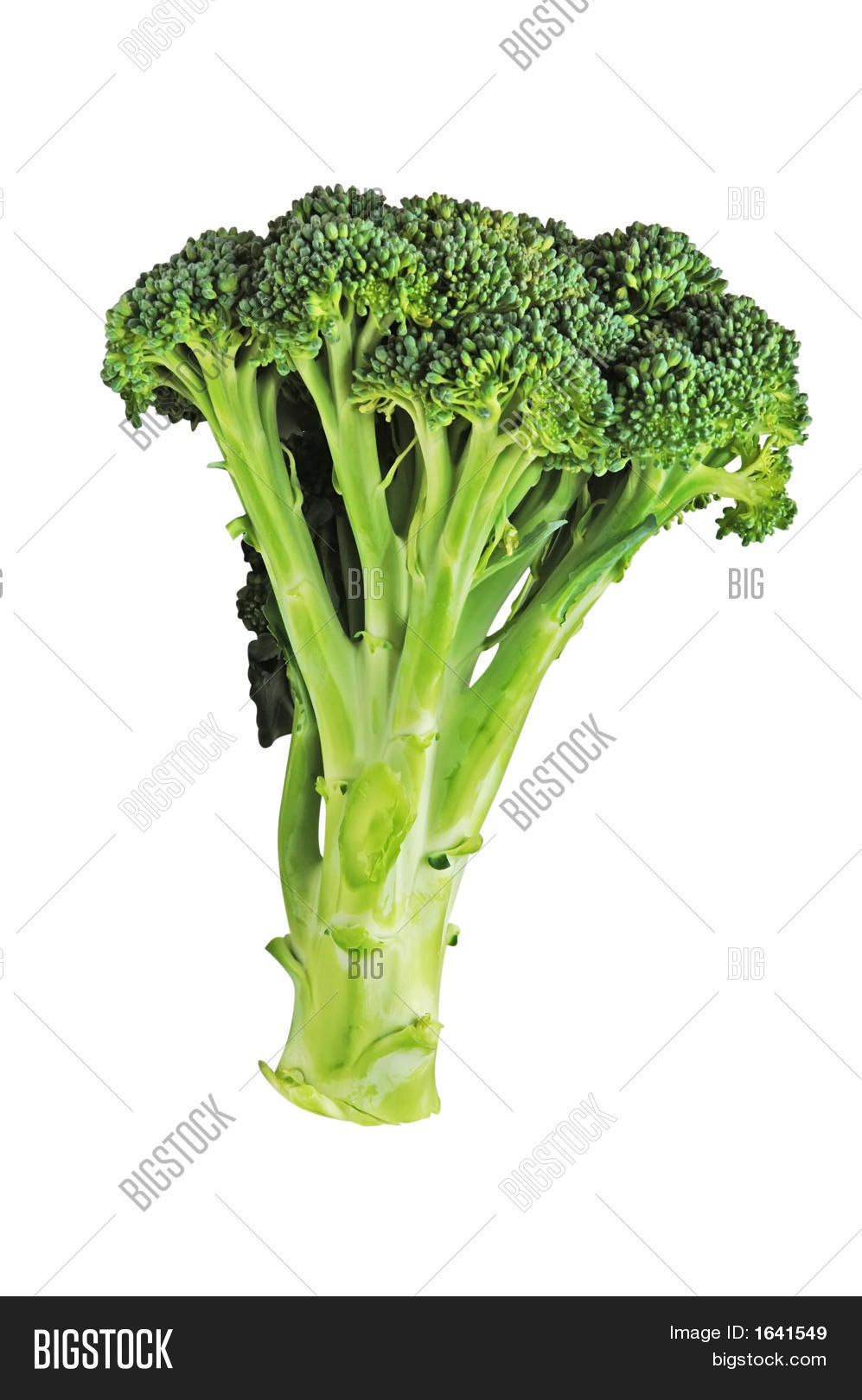 Broccoli Floret Image & Photo (Free Trial) | Bigstock