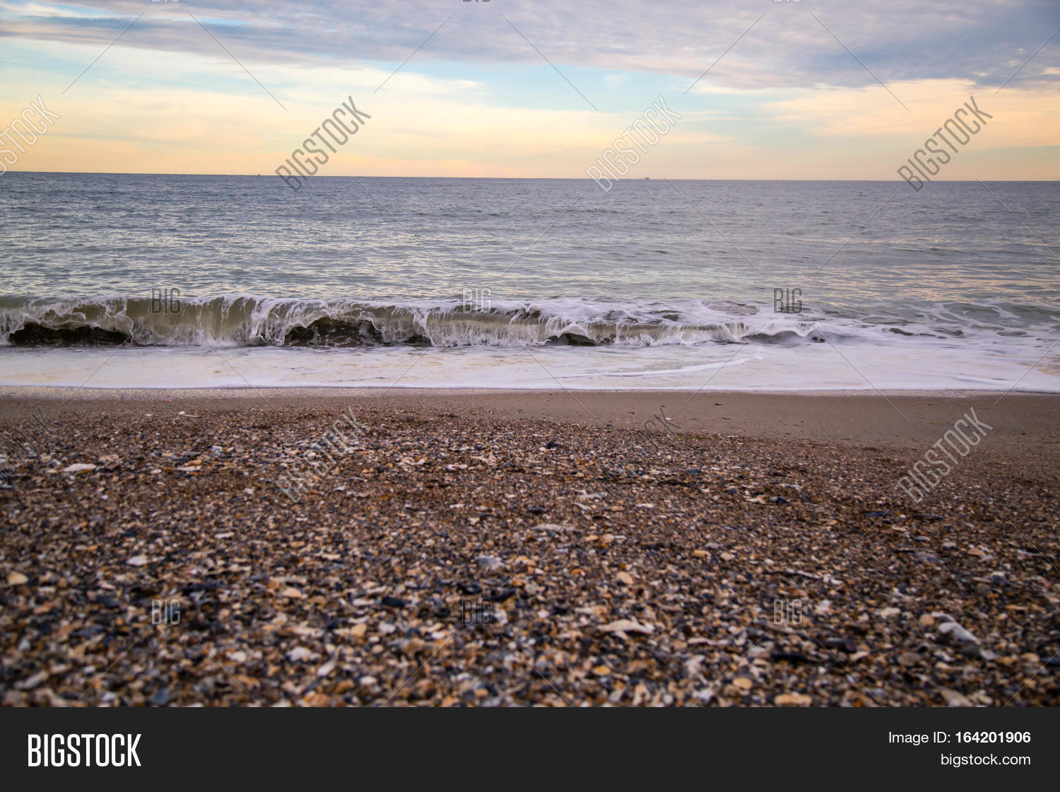 Beach Shore Shells Image & Photo (Free Trial) | Bigstock