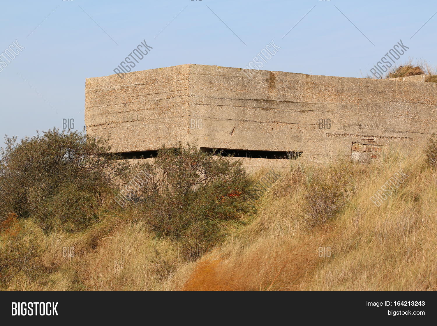 World War 2 Concrete Image & Photo (Free Trial) | Bigstock