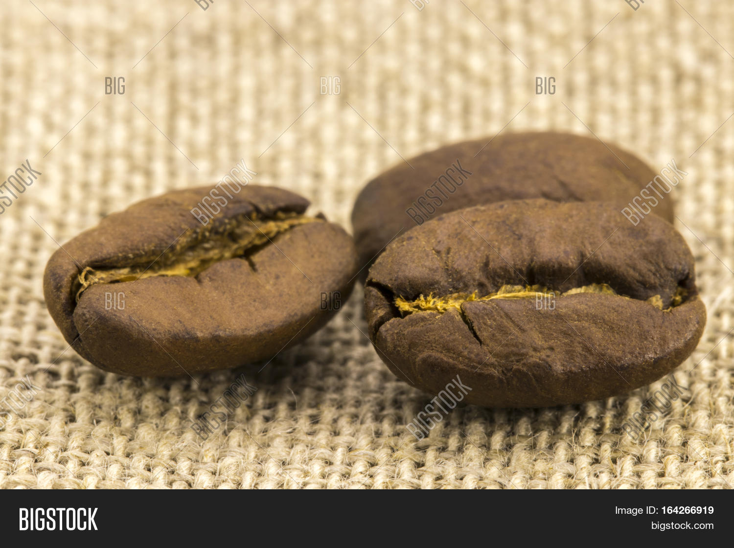 Preparation Coffee Image & Photo (Free Trial) | Bigstock