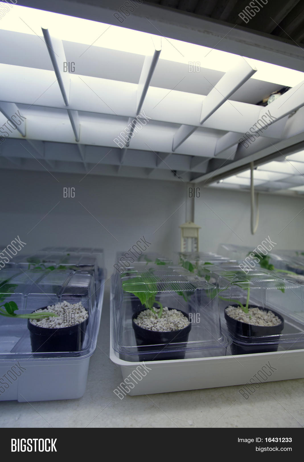 Science Concept - Image & Photo (Free Trial) | Bigstock