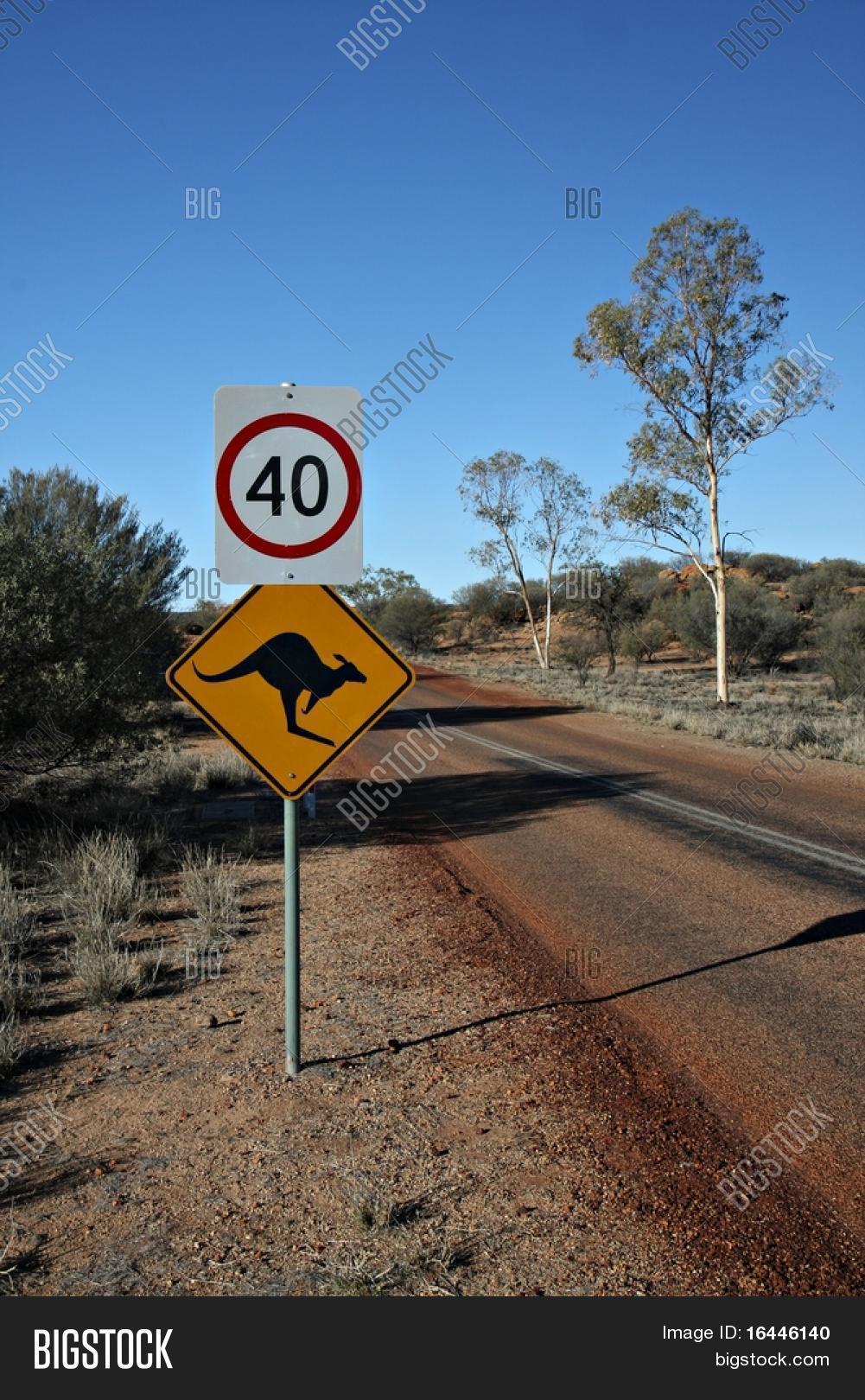 Kangaroo Road Sign Image & Photo (Free Trial) | Bigstock