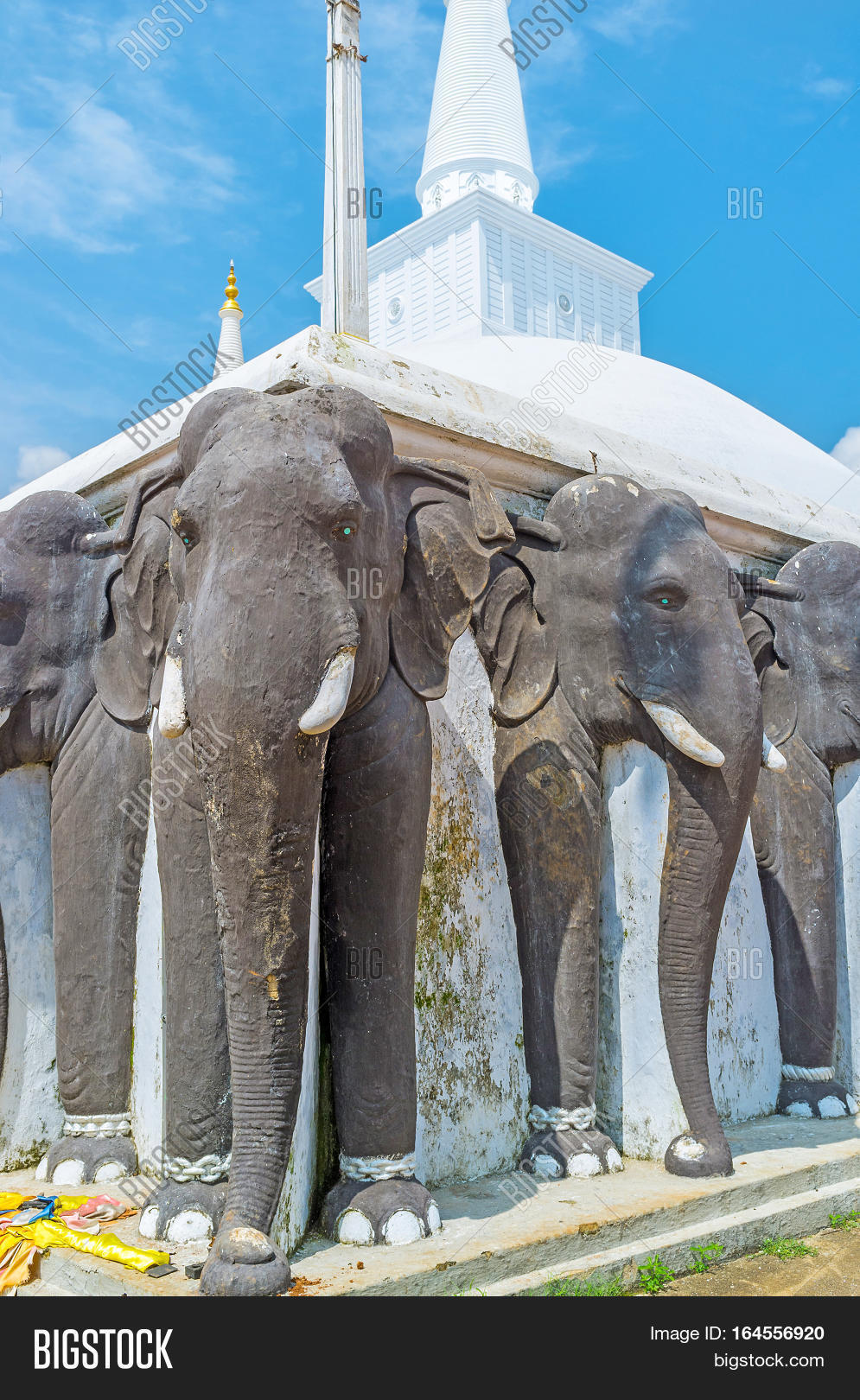 Corner Elephants Image & Photo (Free Trial) | Bigstock