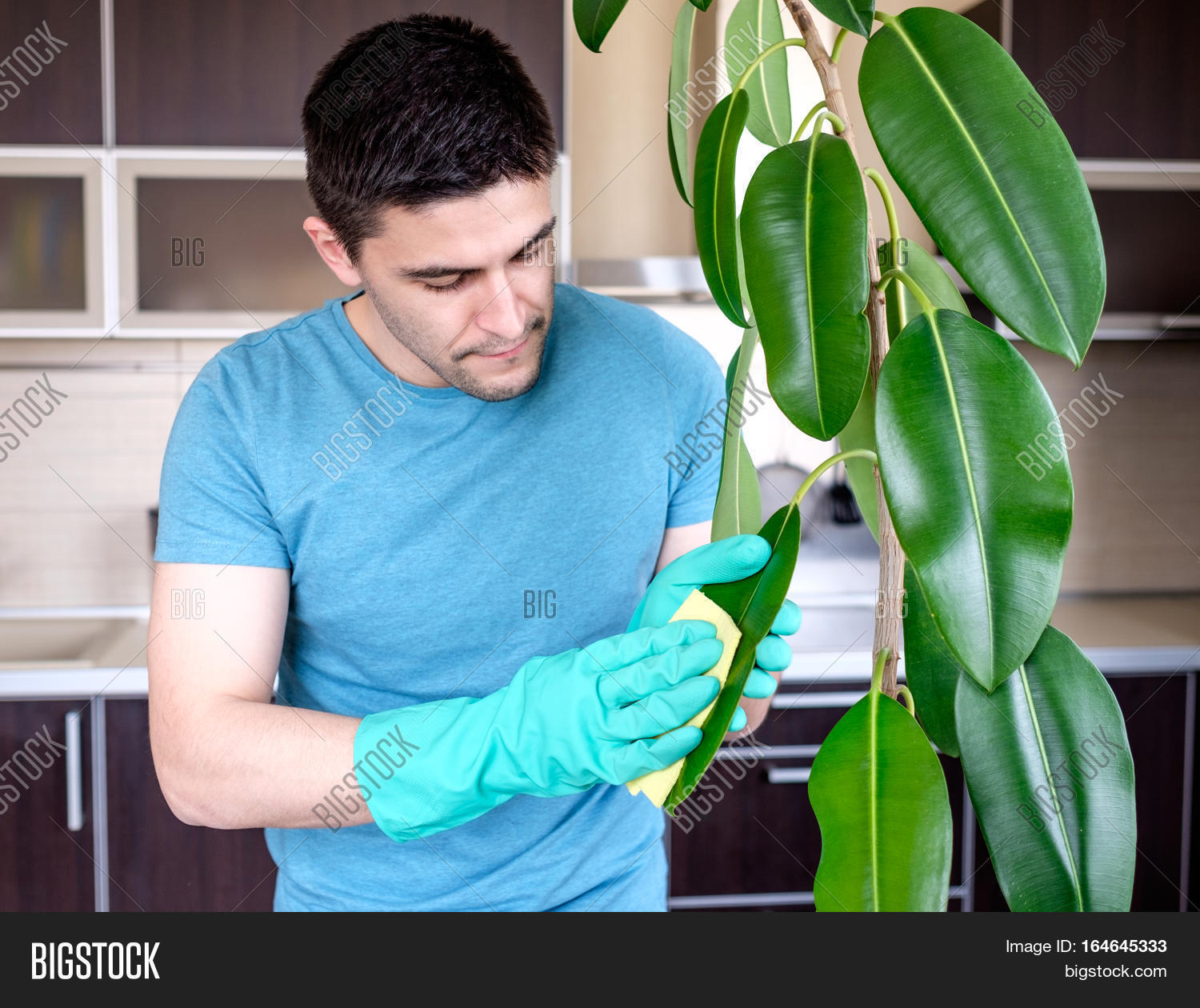 Adult Man Cleaning Image & Photo (Free Trial) | Bigstock