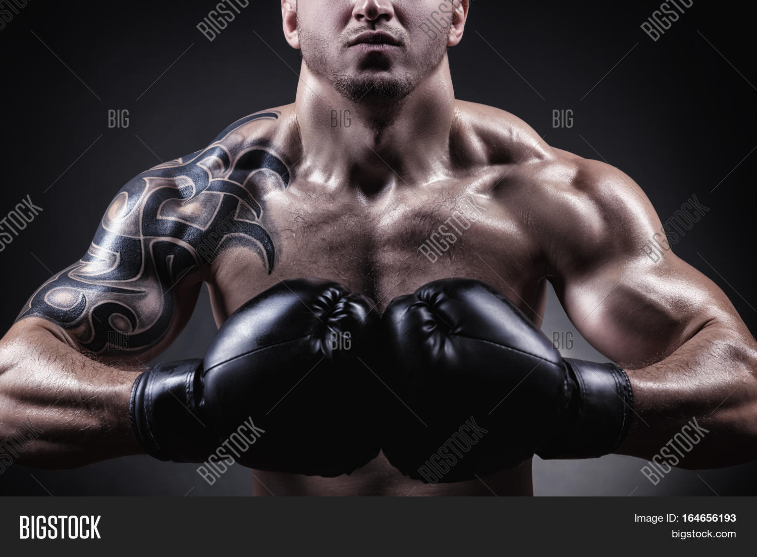 Boxer Boxing Gloves Image & Photo (Free Trial) | Bigstock