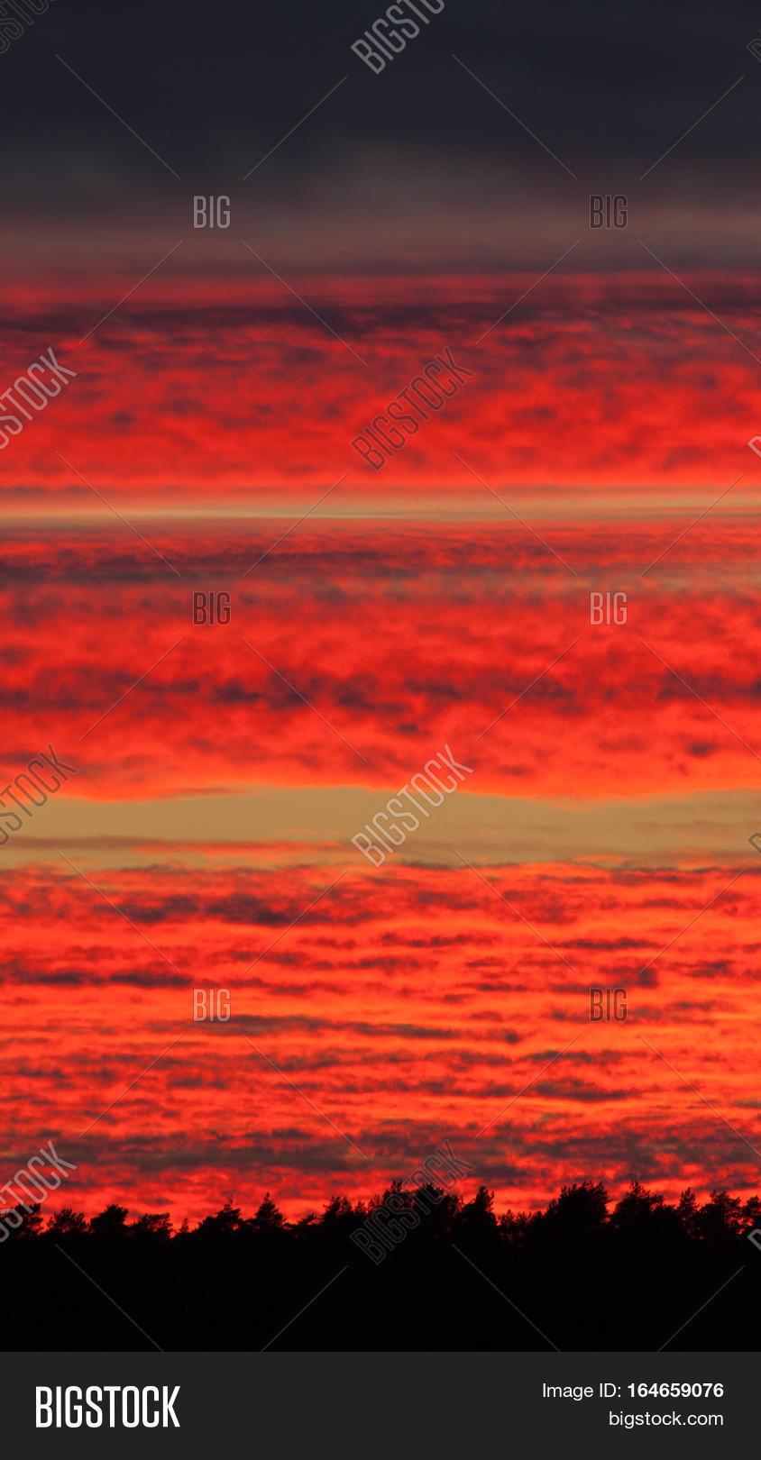 Vibrant Fiery Red Image & Photo (Free Trial) | Bigstock
