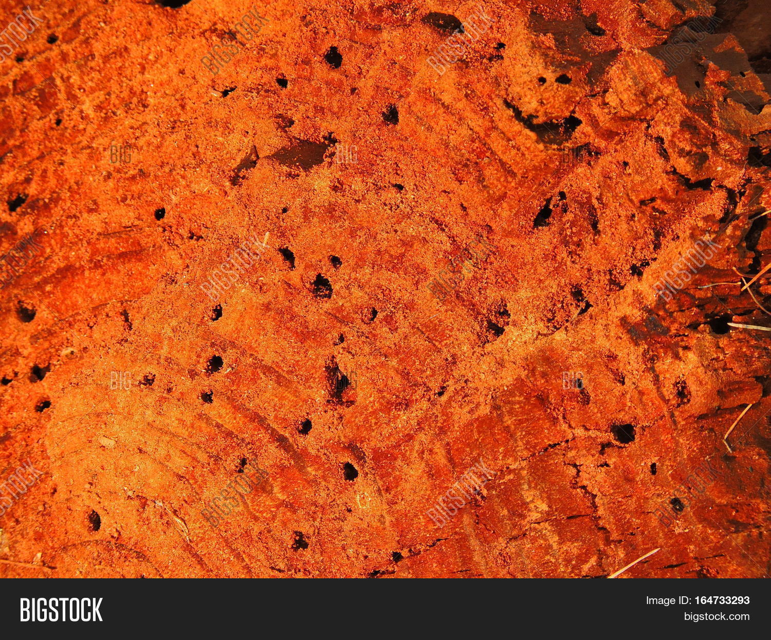 Rotten Red Wood. Image & Photo (Free Trial) | Bigstock