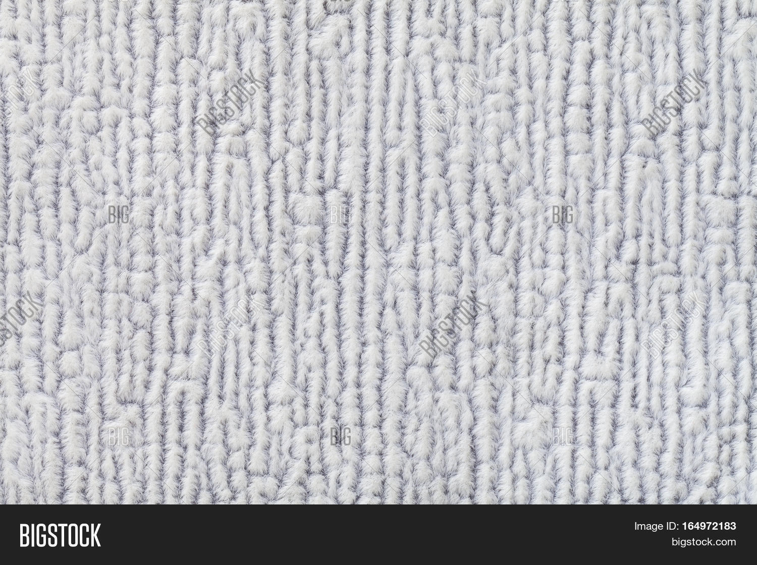 Light Gray Fluffy Image & Photo (Free Trial) | Bigstock