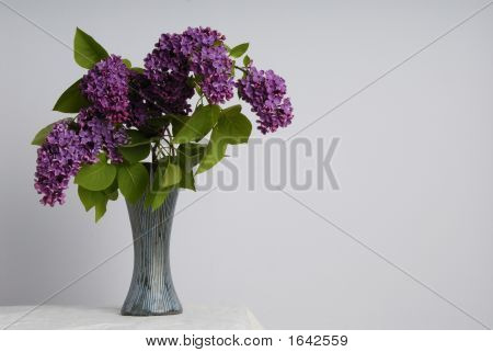 Lilacs Vase Image & Photo (Free Trial) | Bigstock