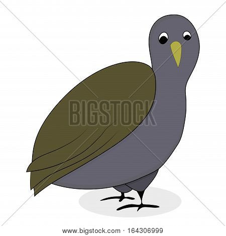Bird Quail Cartoon Vector & Photo (Free Trial) | Bigstock