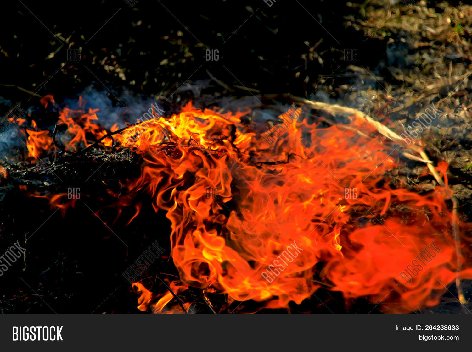 Dancing Fire Fireplace Image & Photo (Free Trial) | Bigstock