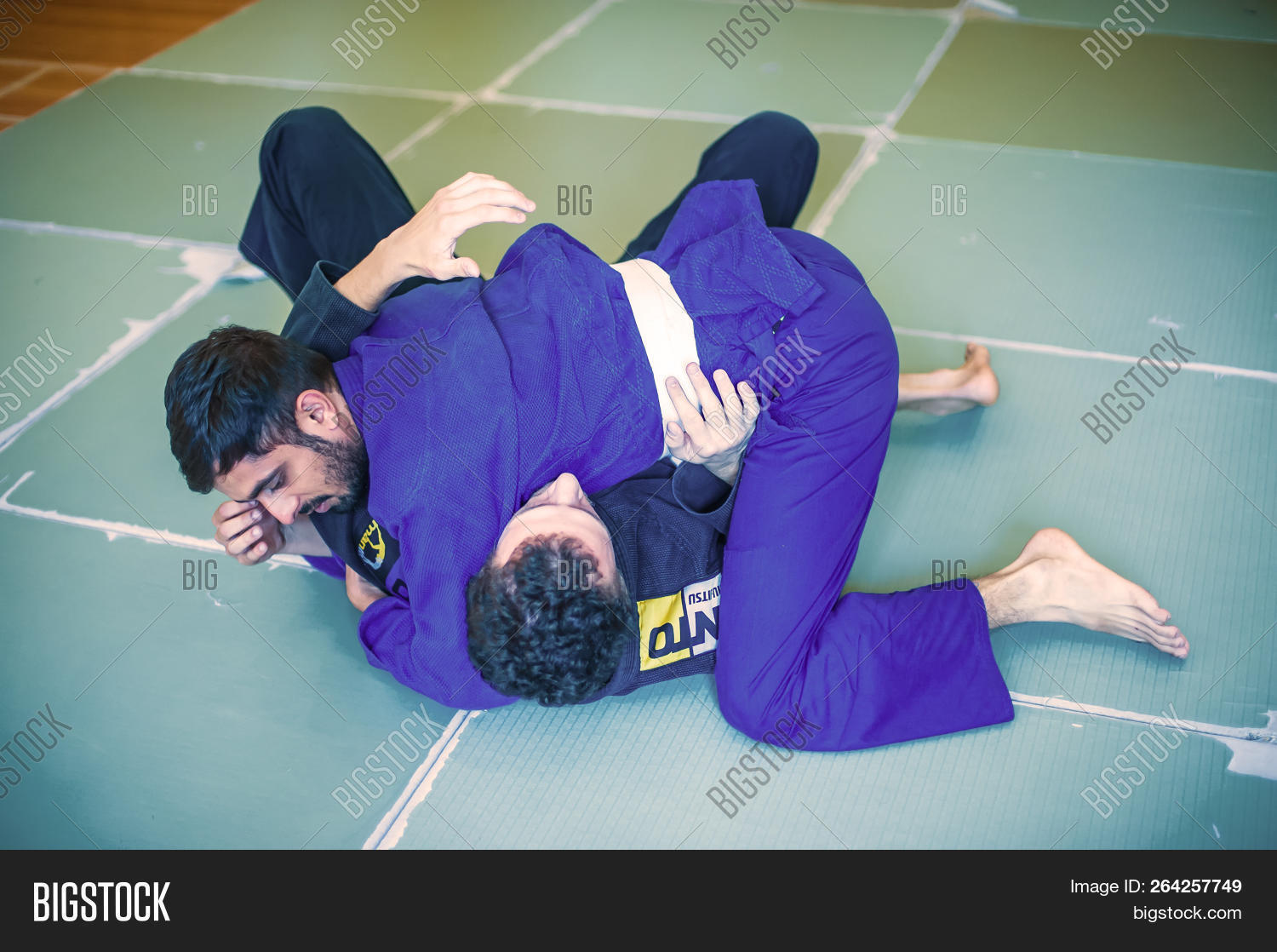 Students Practice Bjj Image & Photo (Free Trial) | Bigstock
