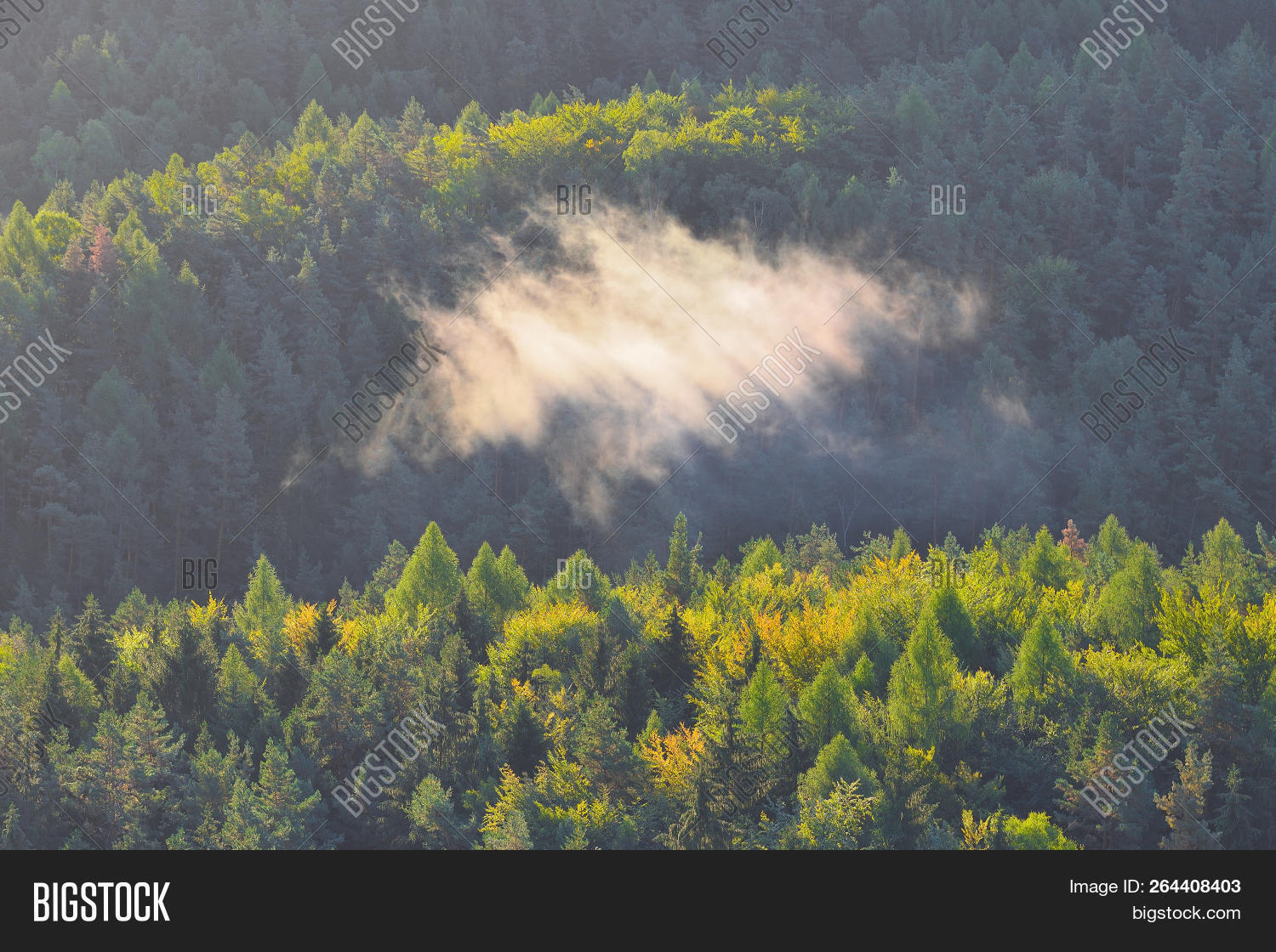 Green Mountain Forest Image & Photo (Free Trial) | Bigstock