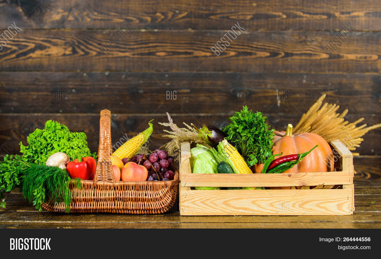 Vegetables Garden Farm Image & Photo (Free Trial) | Bigstock