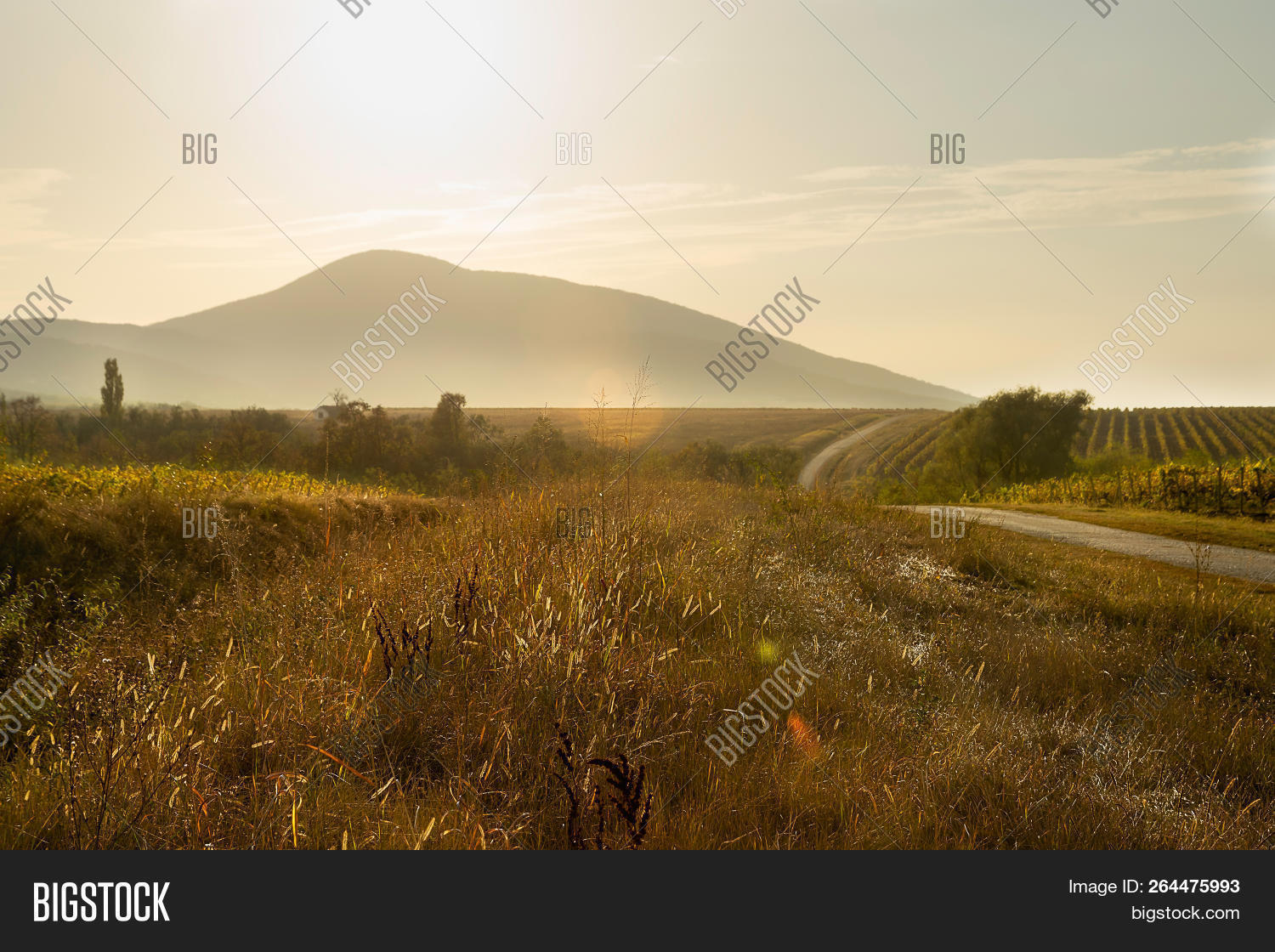 Sunset Countryside Image & Photo (Free Trial) | Bigstock