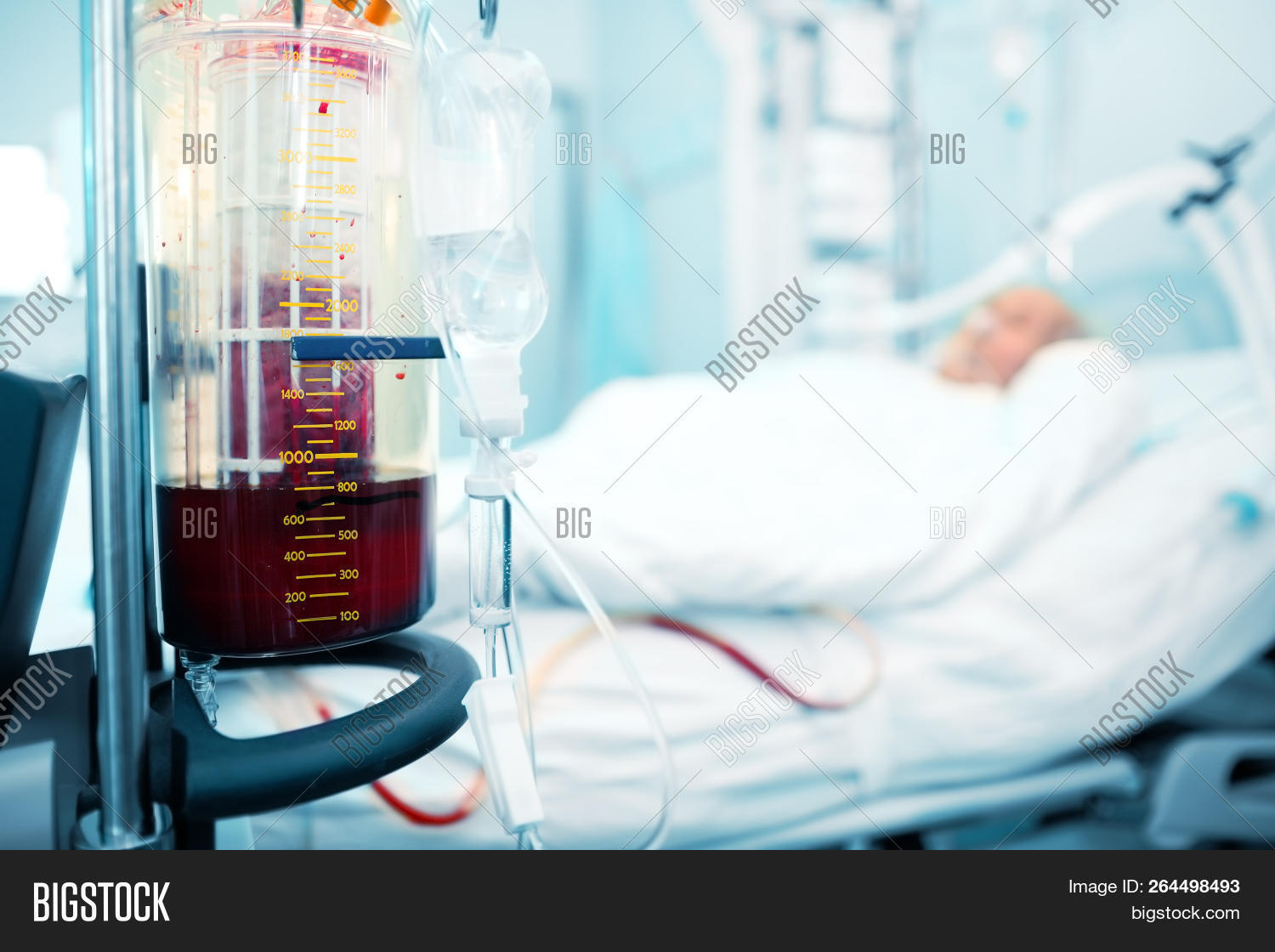 Blood Collection Image & Photo (Free Trial) | Bigstock