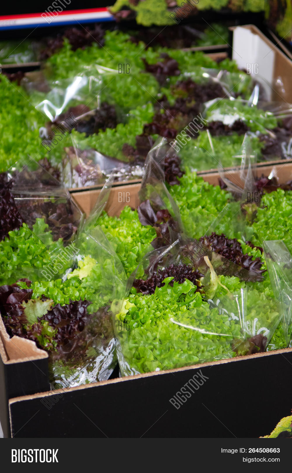 Cold Storage Fresh Image & Photo (Free Trial) | Bigstock