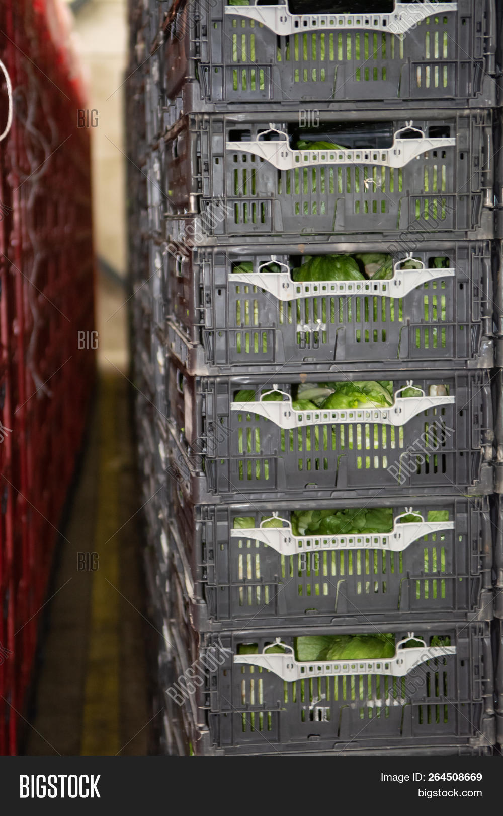 Cold Storage Fresh Image & Photo (Free Trial) | Bigstock