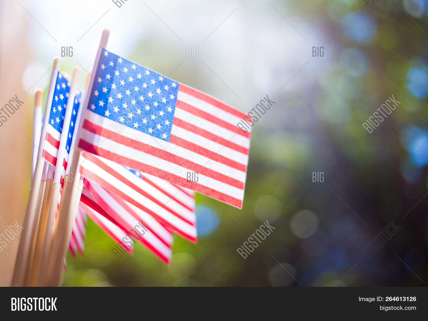 Miniature Paper Flags Image & Photo (Free Trial) | Bigstock