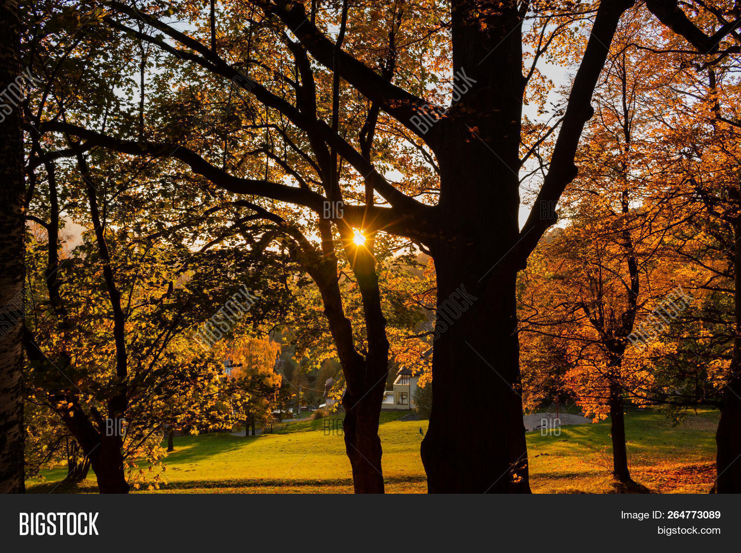 Summer Landscape - Image & Photo (Free Trial) | Bigstock