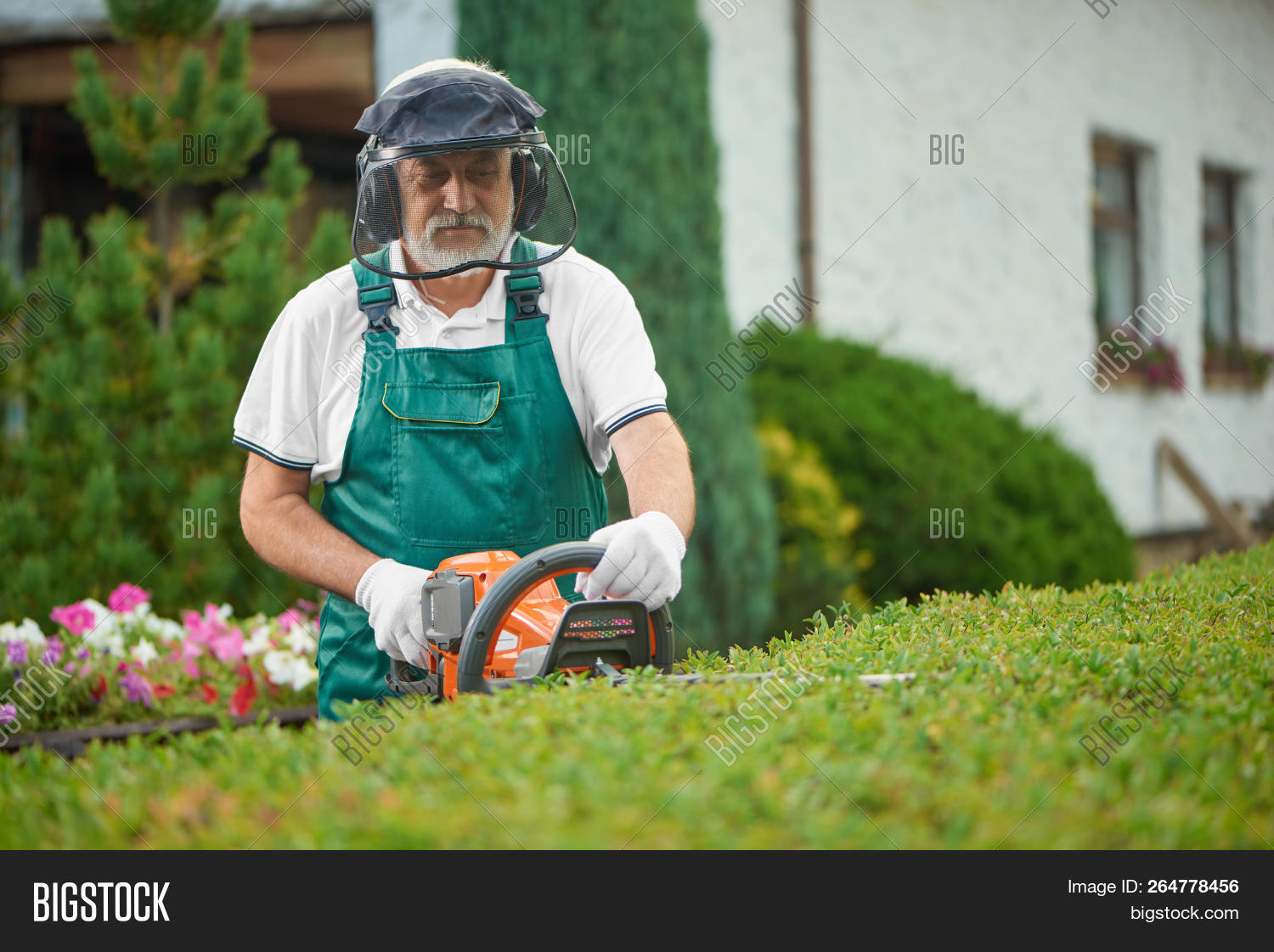 Senior Male Gardener Image & Photo (Free Trial) | Bigstock