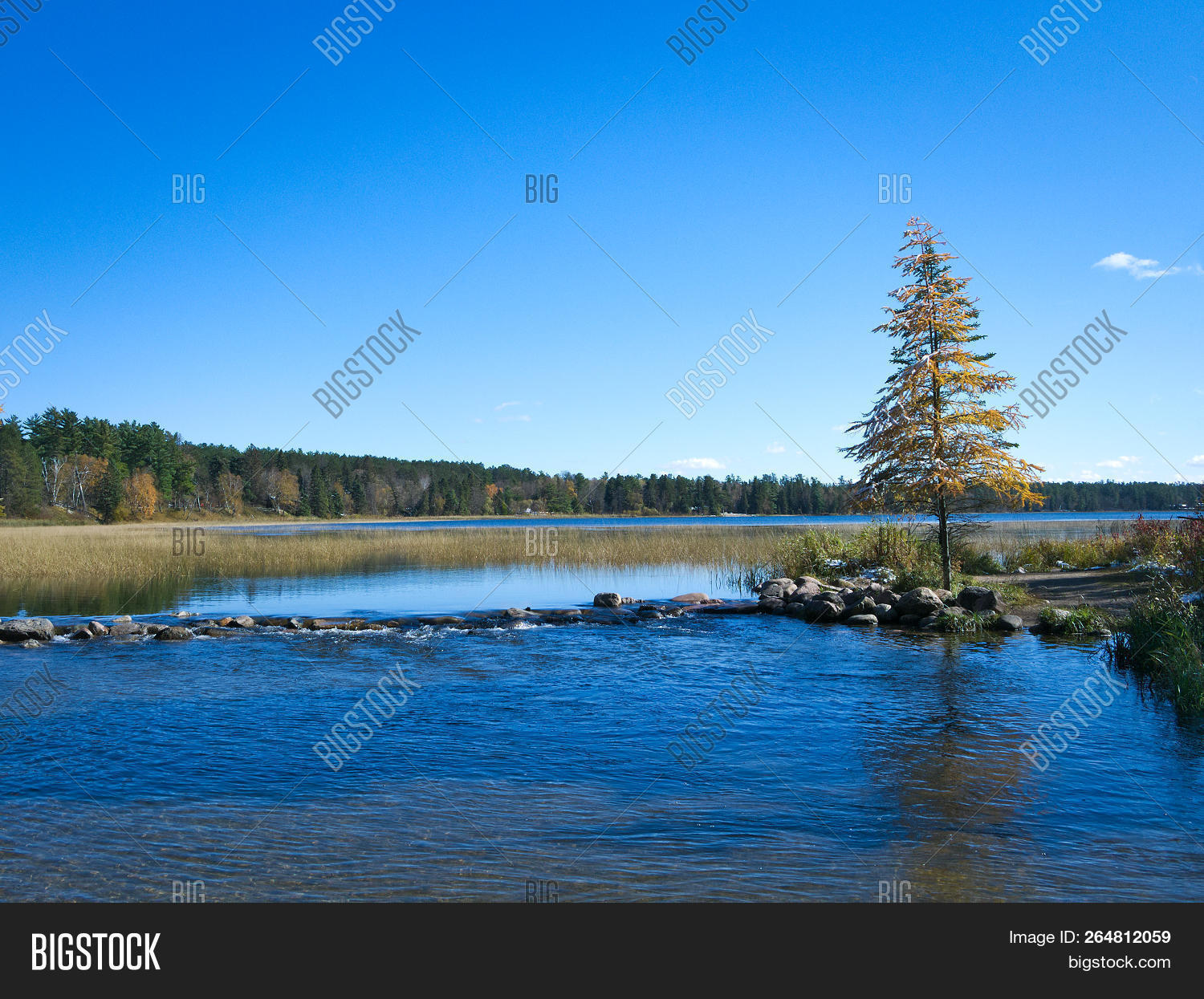 Lake Itasca Held Image & Photo (Free Trial) | Bigstock