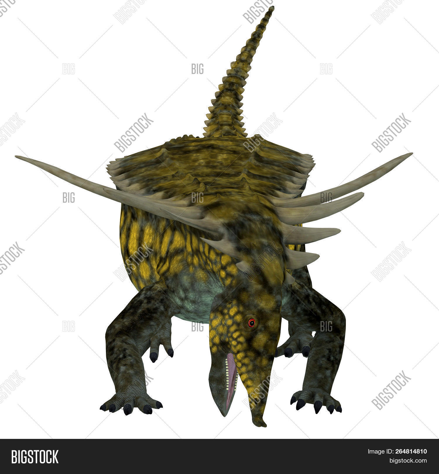 ภาพและภาพถ่าย (ทดลองใช้ฟรี) | Bigstock