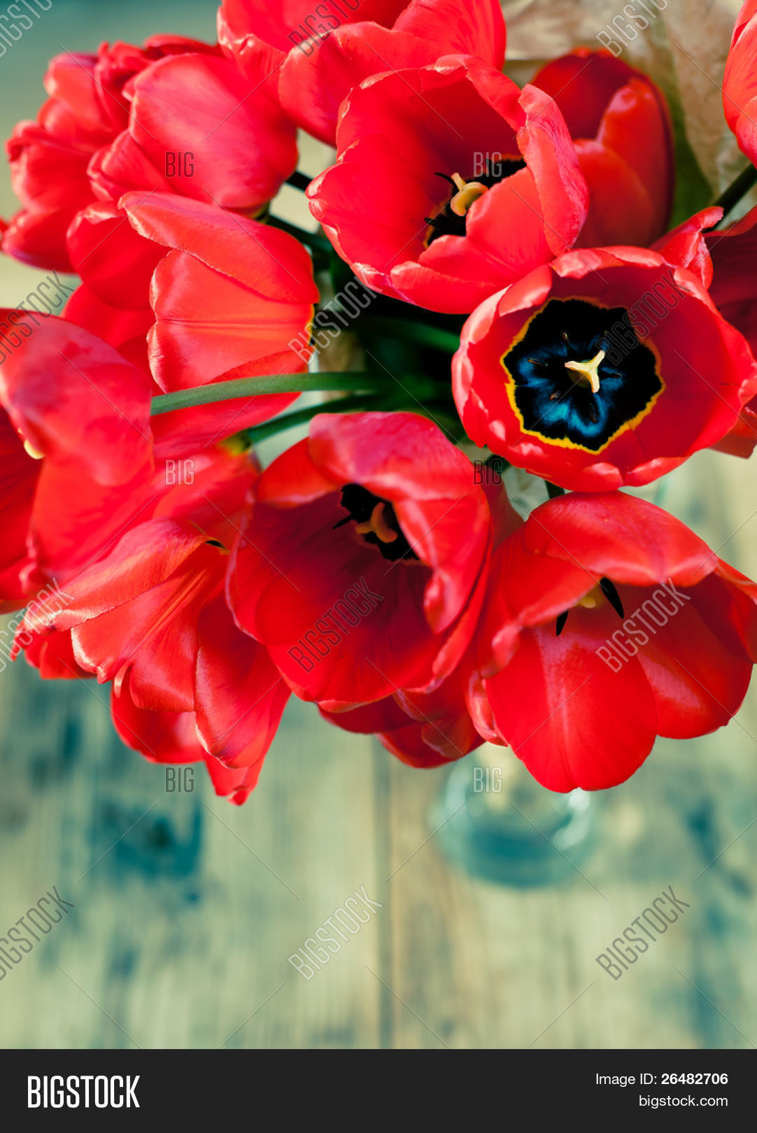 Red Tulips Image & Photo (Free Trial) | Bigstock
