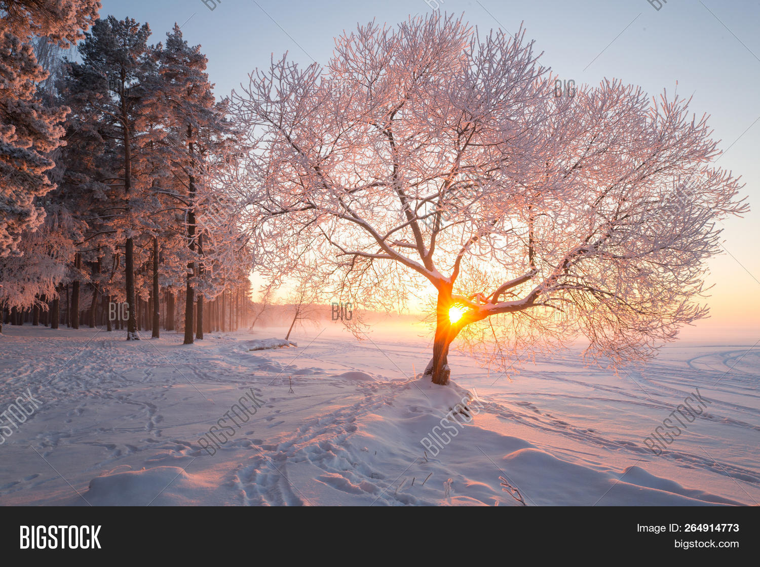 Winter Landscape. Image & Photo (Free Trial) | Bigstock