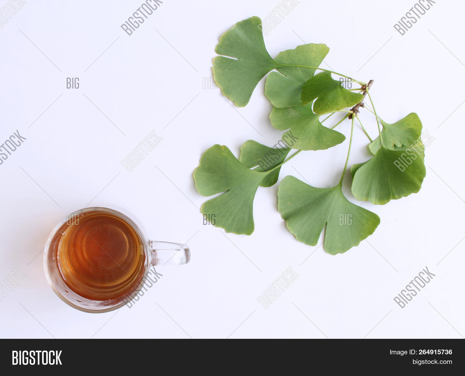 Ginkgo Biloba Tea Image & Photo (Free Trial) | Bigstock