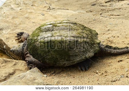 This Image Two Three Image & Photo (Free Trial) | Bigstock