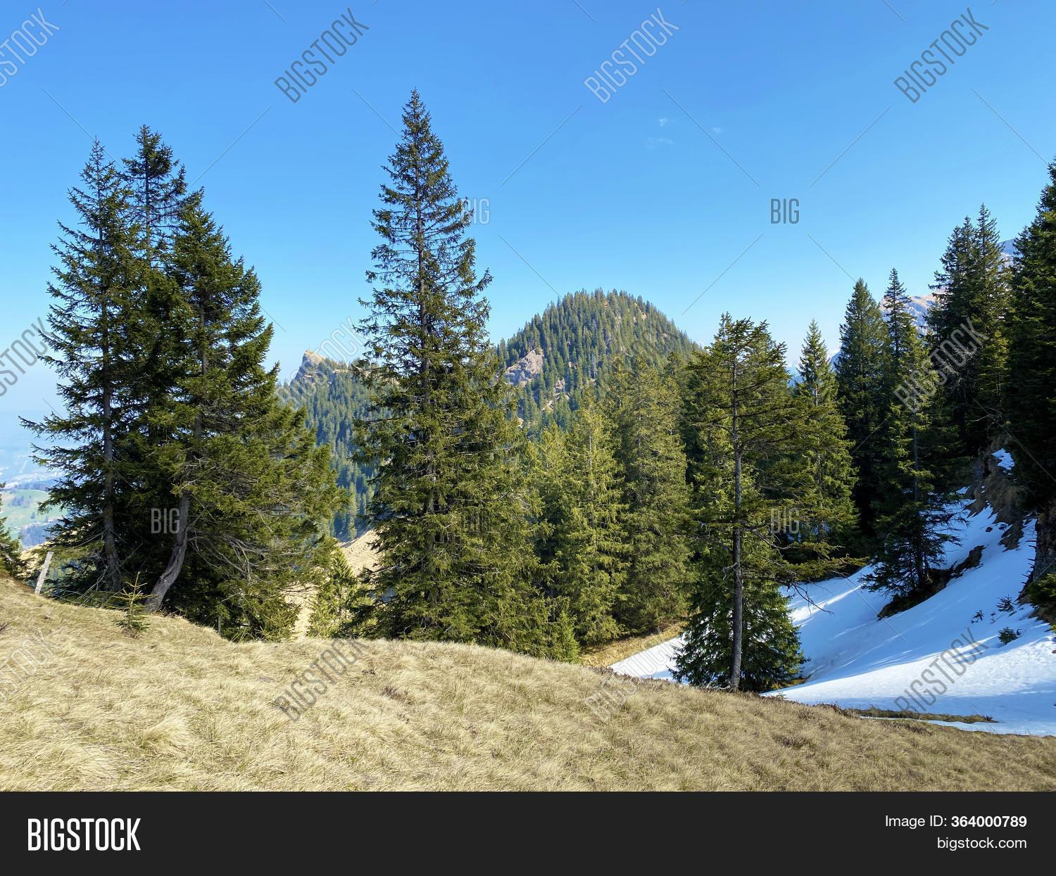 Alpine Mountain Hills Image & Photo (Free Trial) | Bigstock