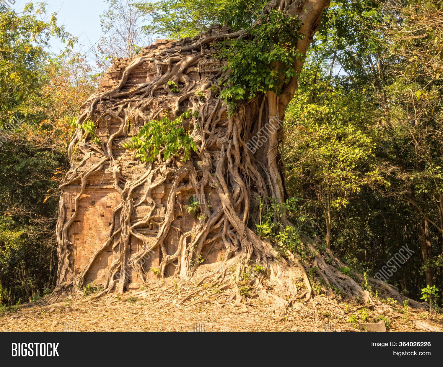 Overgrown Temple Image & Photo (Free Trial) | Bigstock