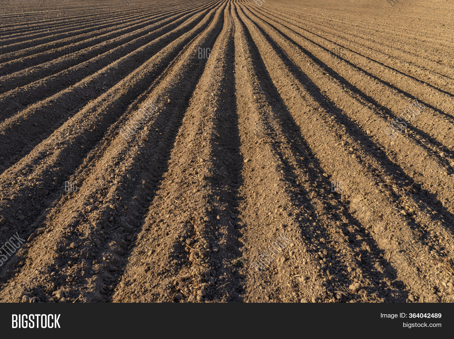 Plowed Soil Planting Image & Photo (Free Trial) | Bigstock