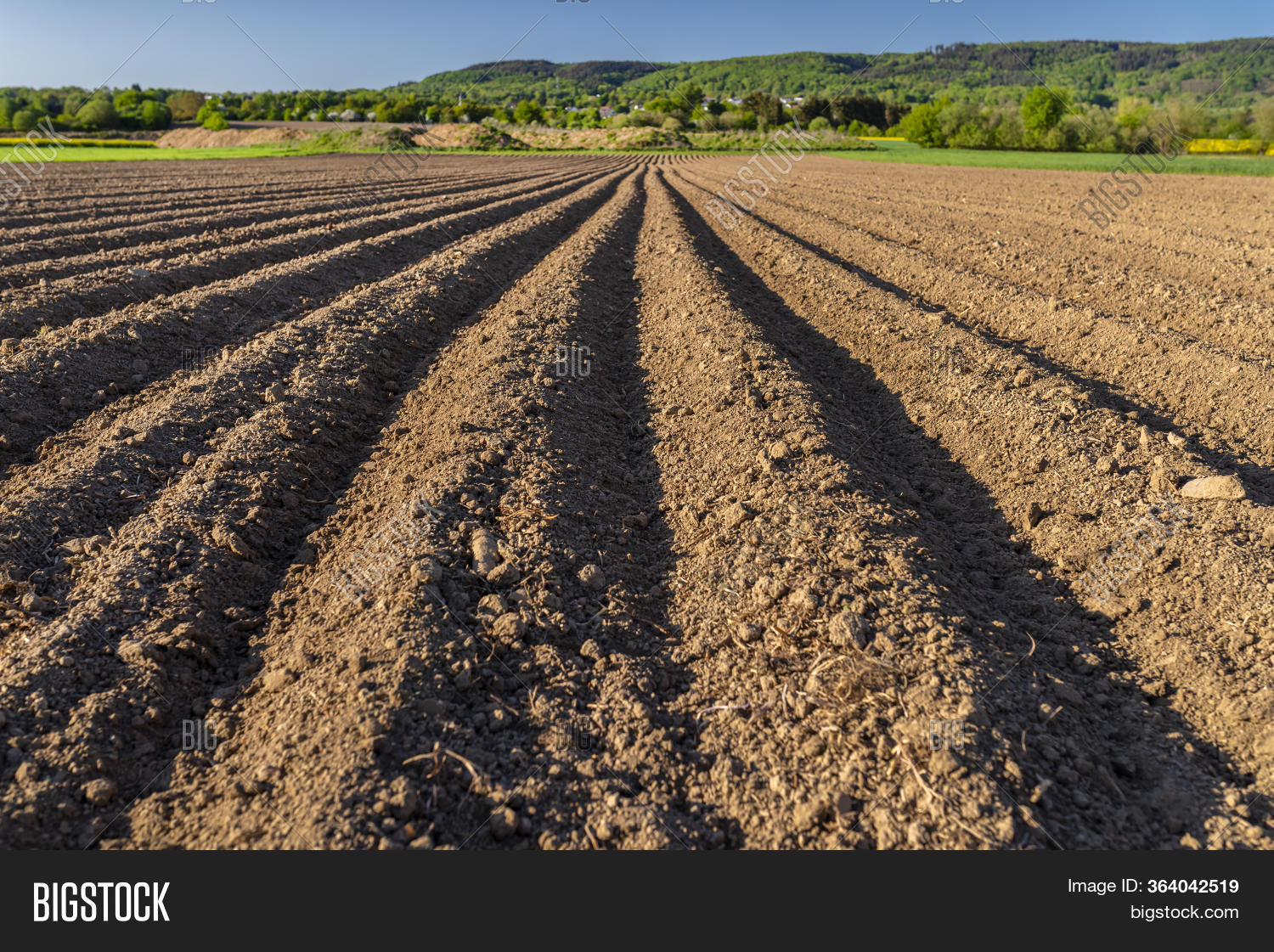 Plowed Soil Planting Image & Photo (Free Trial) | Bigstock