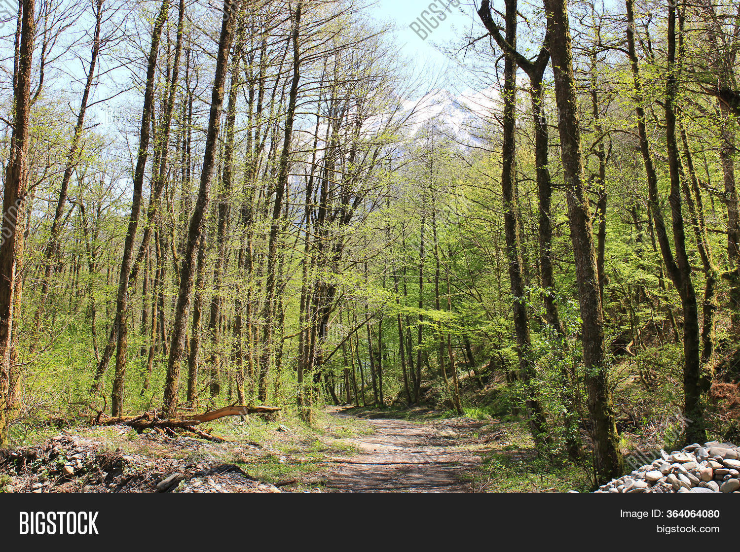 Path Green Mountain Image & Photo (Free Trial) | Bigstock