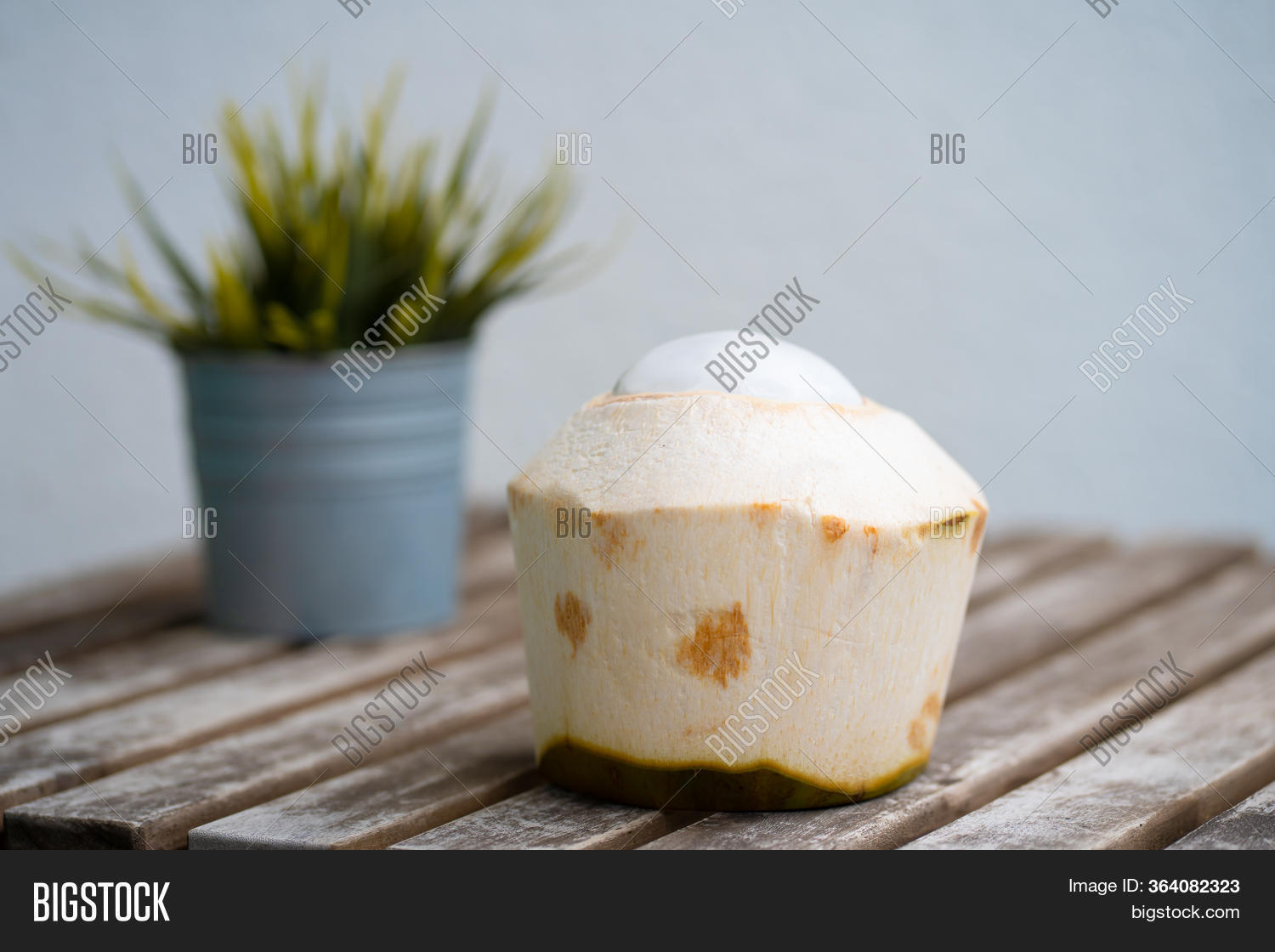 Peeled Coconut Ready Image & Photo (Free Trial) | Bigstock
