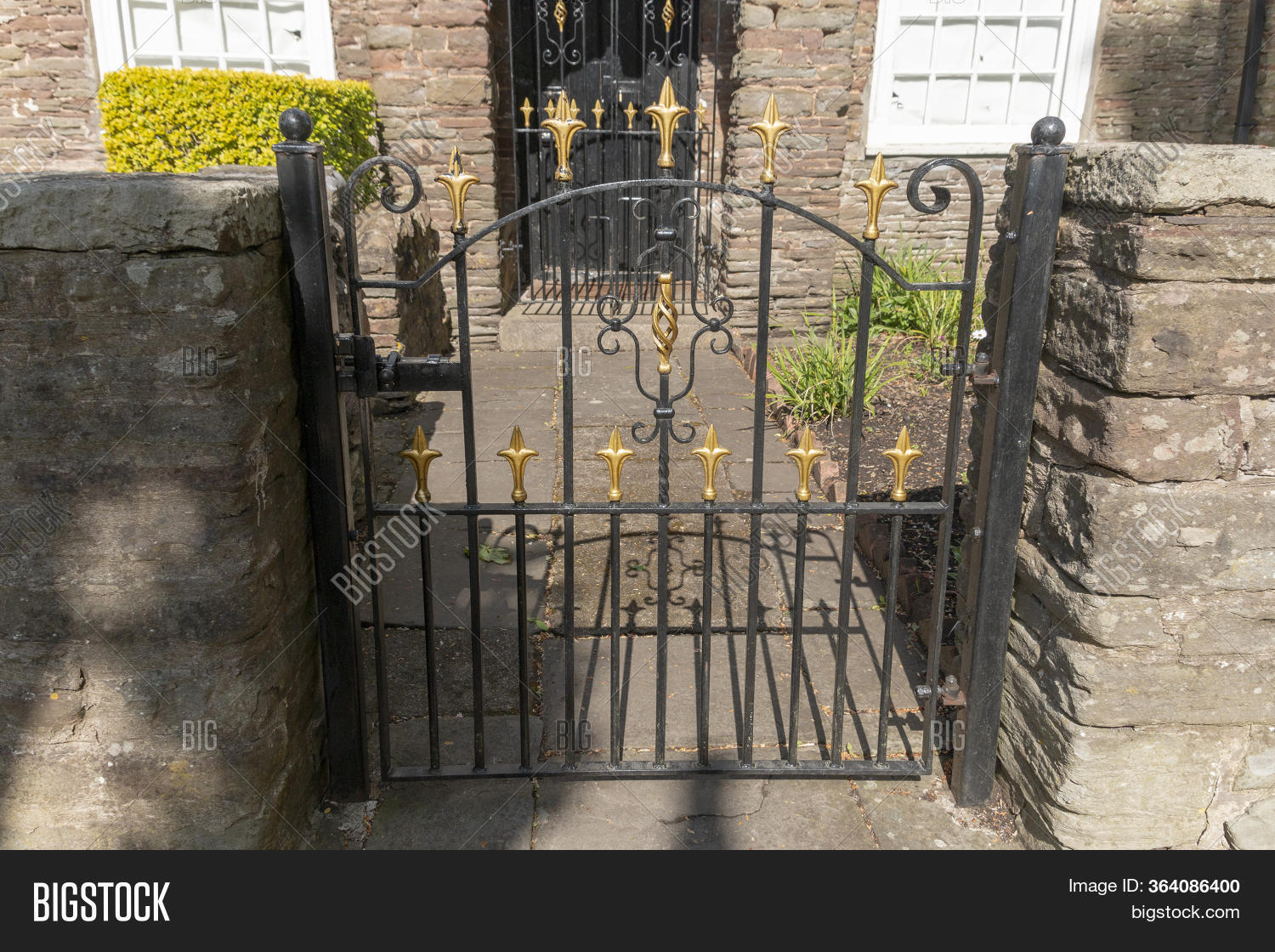 Close View Small Black Image & Photo (Free Trial) | Bigstock