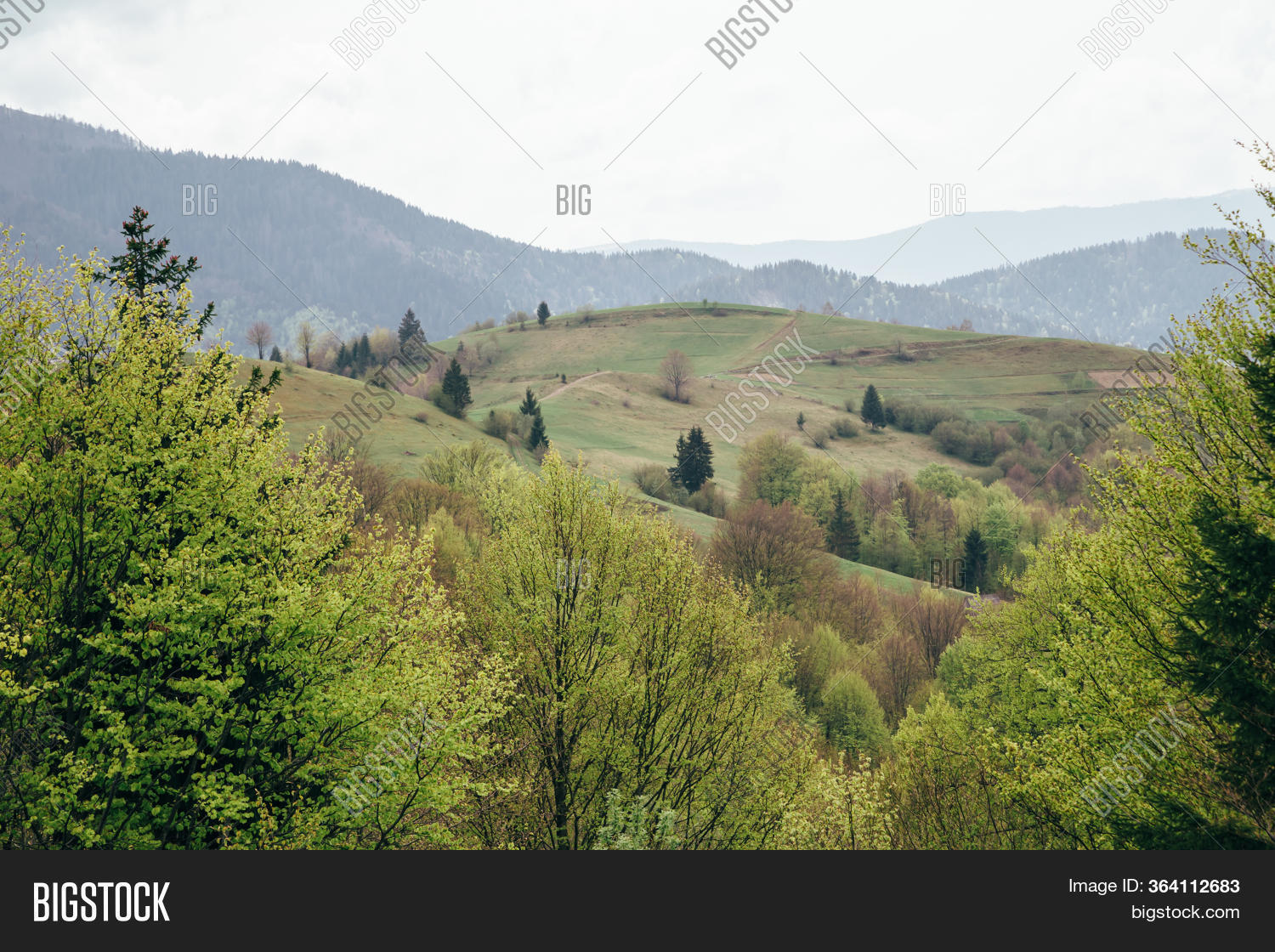 Spring Mountains. Image & Photo (Free Trial) | Bigstock