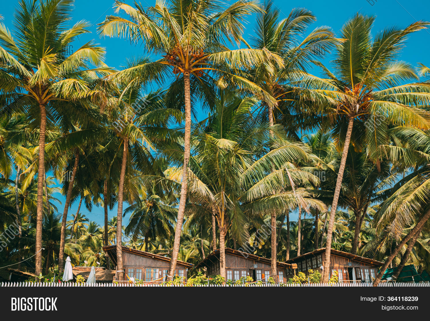 Canacona, Goa, India Image & Photo (Free Trial) | Bigstock