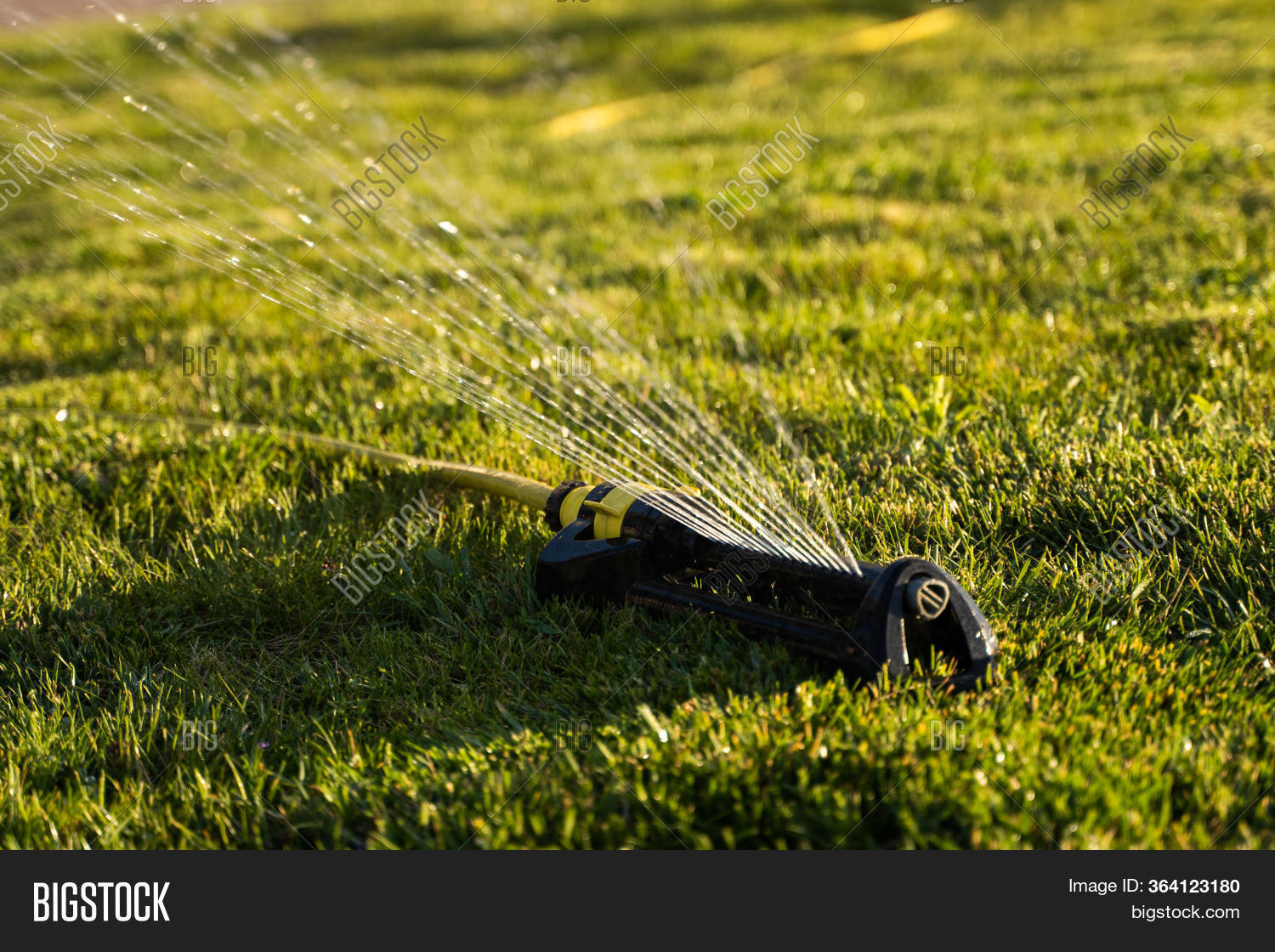 Lawn Sprinkler Image & Photo (Free Trial) | Bigstock