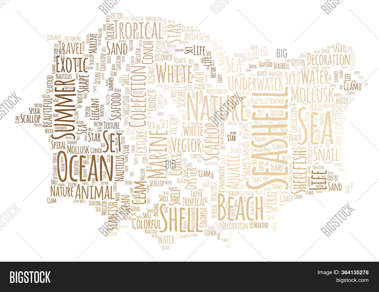 Seashell Seashore Word Image & Photo (Free Trial) | Bigstock