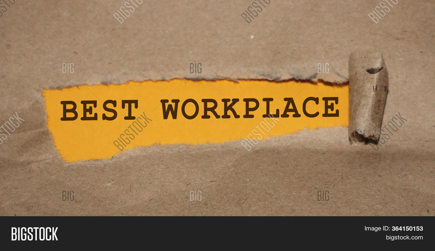Best Workplace Words Image & Photo (Free Trial) | Bigstock