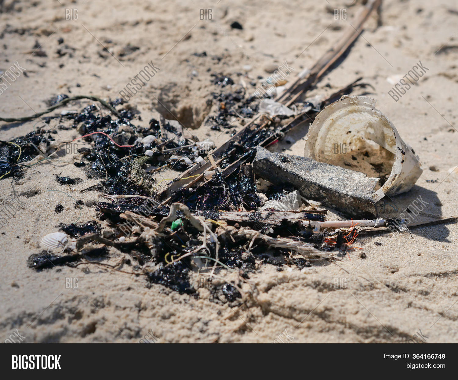 Oil Spill Marine Image & Photo (Free Trial) | Bigstock