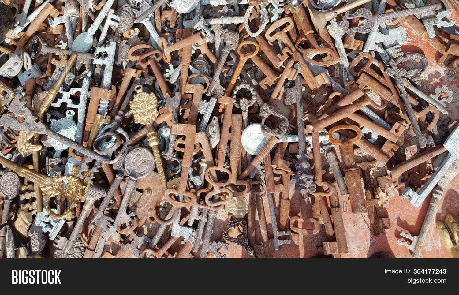 Unusual Shaped Vintage Image & Photo (Free Trial) | Bigstock