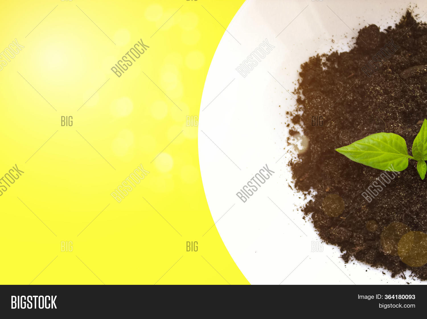 White Plate Soil Image & Photo (Free Trial) | Bigstock