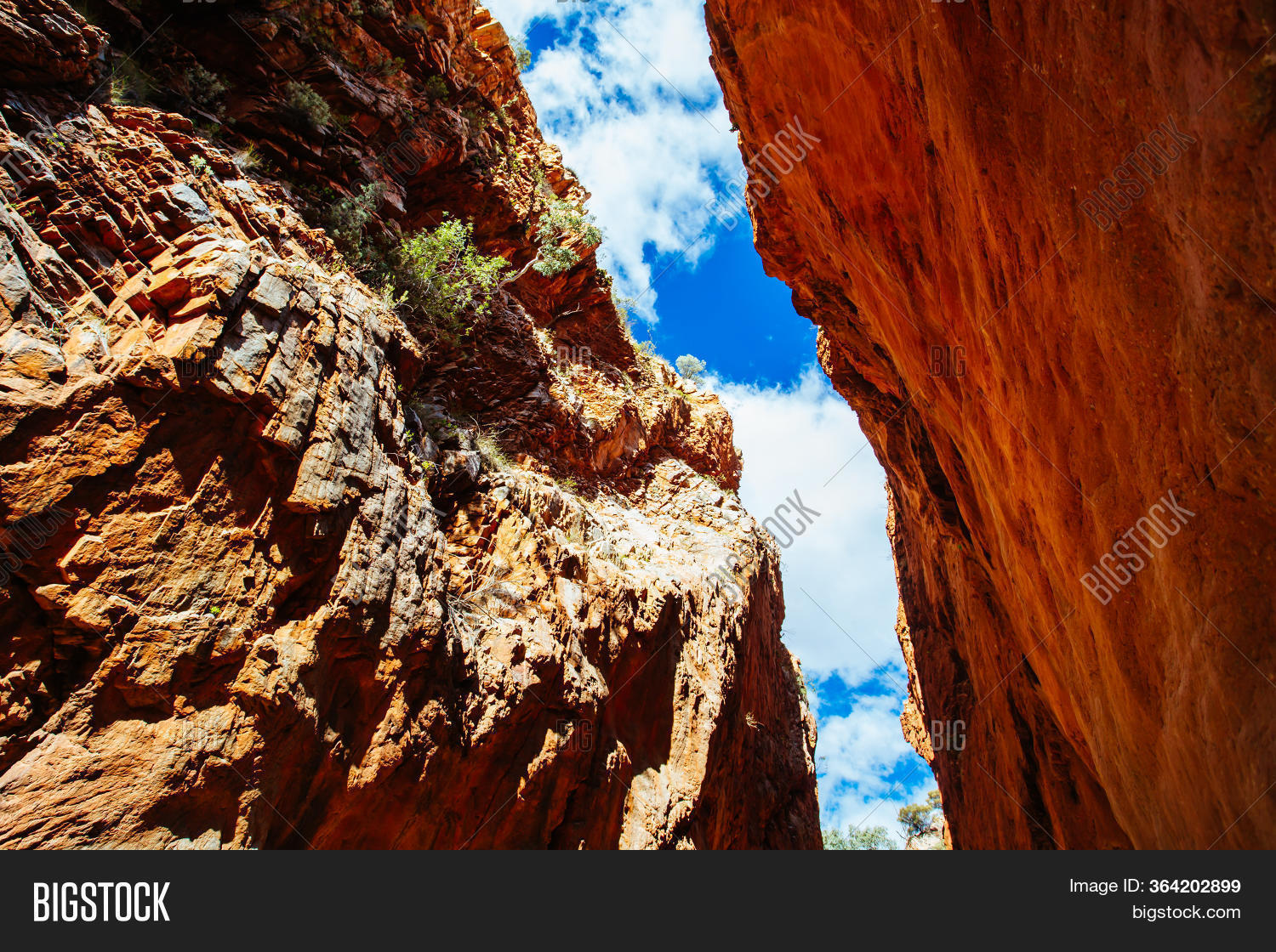 Standley Chasm Near Image & Photo (Free Trial) | Bigstock