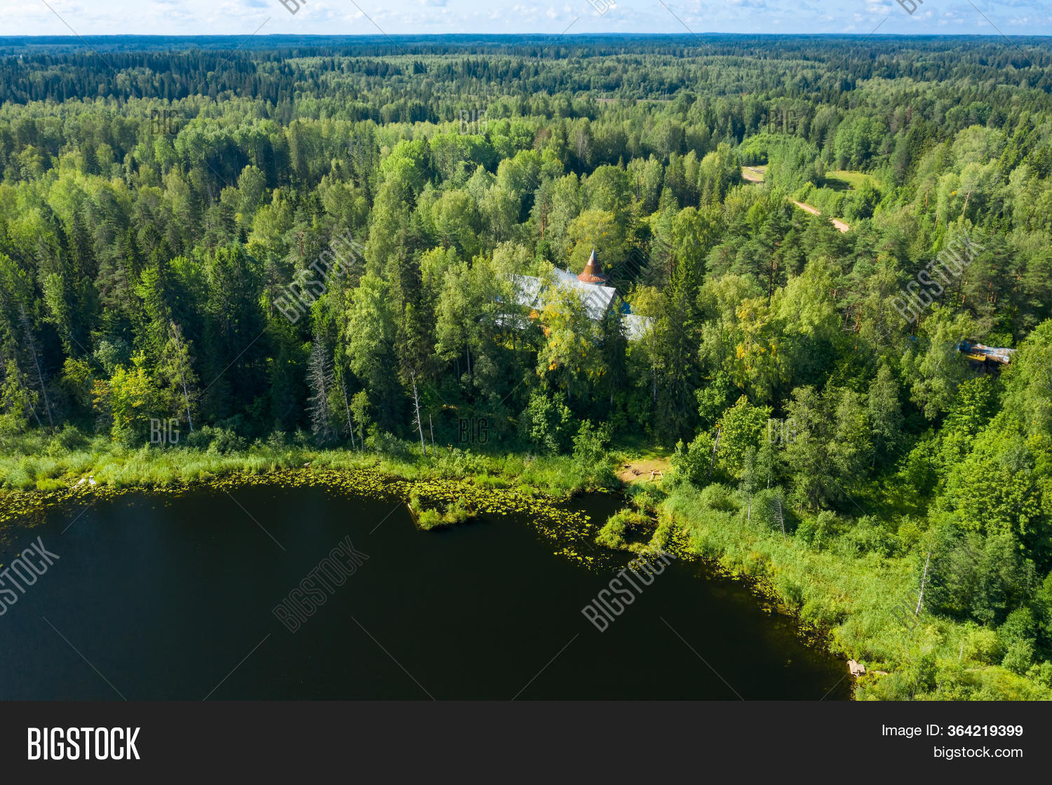 Top View Forest Lake Image & Photo (Free Trial) | Bigstock