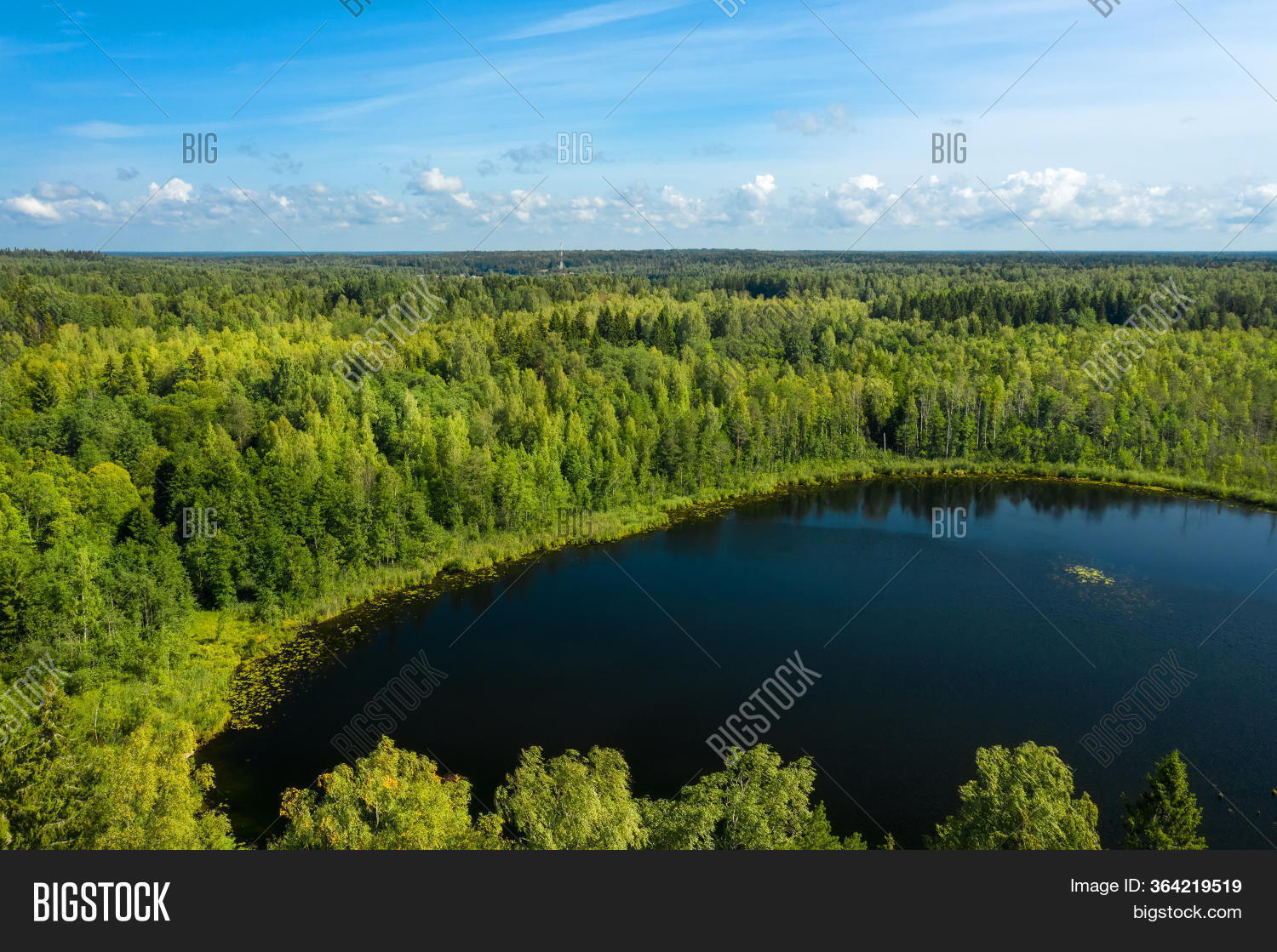 Top View Forest Lake Image & Photo (Free Trial) | Bigstock